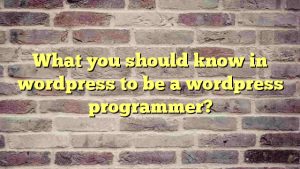 What you should know in wordpress to be a wordpress programmer? – Zareef Ahmed : Bigdata and ...